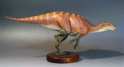 Probactrosaurus Pictures And Facts The Dinosaur Database