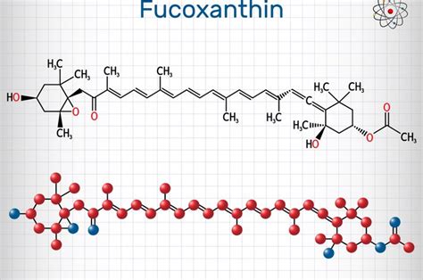 The Many Potential Benefits Of Fucoxanthin Health And Detox And Vitamins