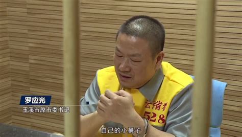 主动投案的市委书记凤凰网视频凤凰网