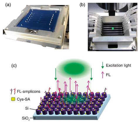 Biosensors Free Full Text Rapid Detection Of Attomolar Sars Cov 2