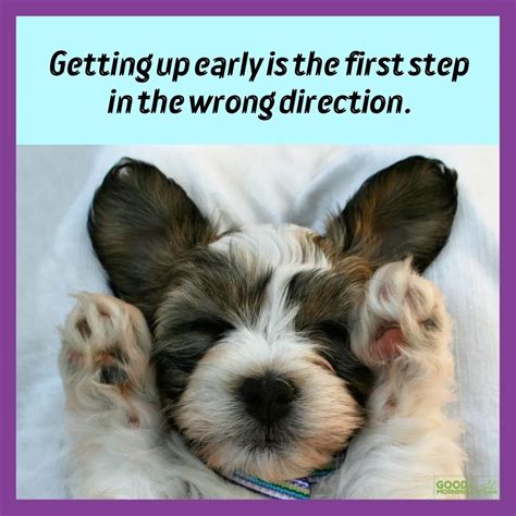 Funny Good Morning Quotes With Pictures