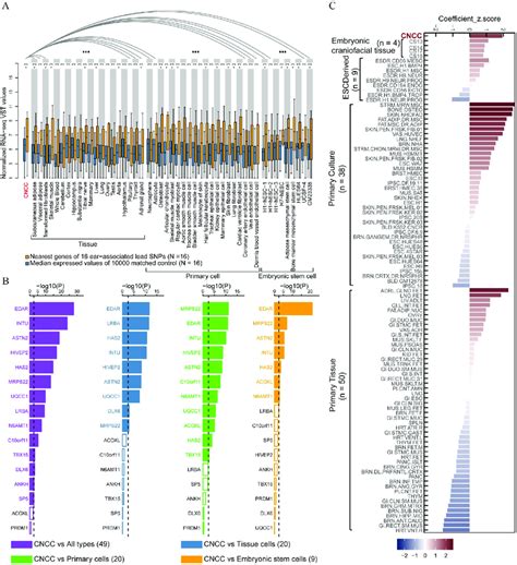 Differential Expressions Of 16 Genes Near 16 Ear Associated Loci In 50
