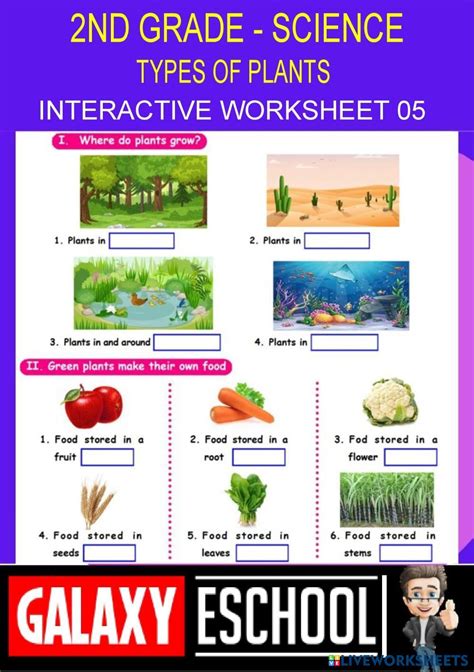2nd Science Ps05 Types Of Plants Galaxy Live Worksheets