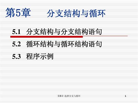 Vb第5章 选择分支与循环 Word文档在线阅读与下载 免费文档