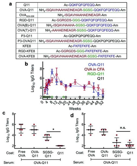 Modulating Adaptive Immune Responses To Peptide Self Assemblies Pmc