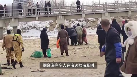 烟台海岸多人捡海肠被海浪击倒溺水1斤能卖60块不顾体力地捡