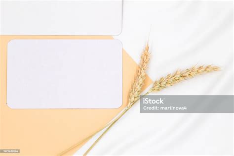 봉투와 밀 작은 이삭 식물이 있는 인사말 카드 모형 복사 공간이 있는 배경 평면도 평평한 위치 0명에 대한 스톡 사진 및 기타