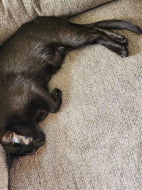 Octavia With The Half Curl Half Stretch R Curledfeetsies