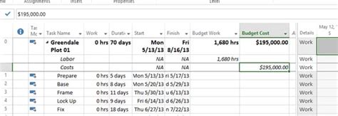 Learn How To Use Budget Resources In Microsoft Project 2013 Simon Sez IT