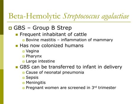 Antibiotics For Beta Hemolytic Strep