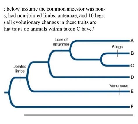 Solved Which Description Below Best Describes A Clade” 1 A