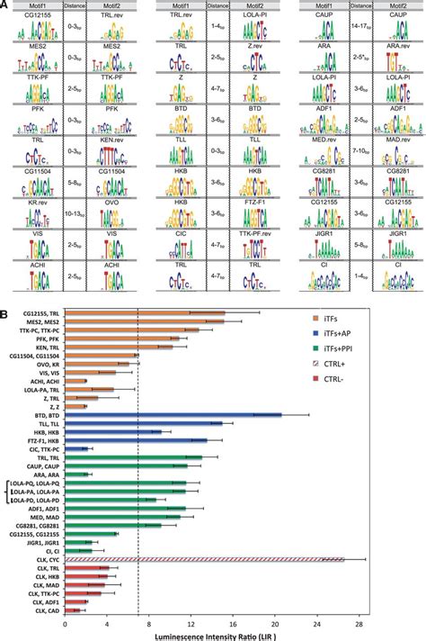 Experimental Validation Of Predicted TFTF Interactions A Predicted Download Scientific