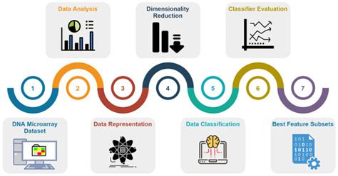 Biomedinformatics An Open Access Journal From Mdpi