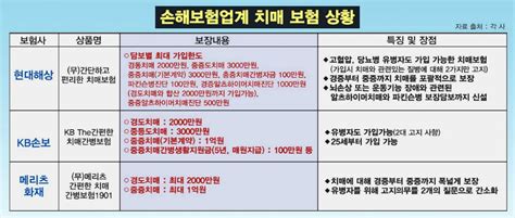 홍기자의 쏘왓 보험사는 안 알려주는 치매보험 고르는 법 노컷뉴스