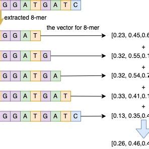 An Example Of DNA Sequence Embedding Download Scientific Diagram