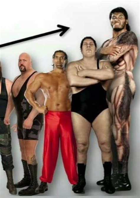 Wwe Superstars And Height Comparison Fan Casting On Mycast