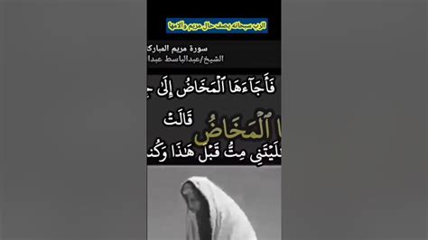 عبدالباسط فحملته فانتبذت به مكانا قصيا فأجاءها المخاض إلى جذع النخلة