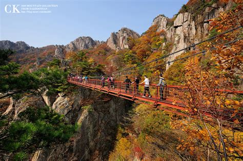 대둔산 가을산행 대둔산 가는길대둔산 등산코스대둔산 케이블카대둔산 단풍시기단풍명소 네이버 블로그