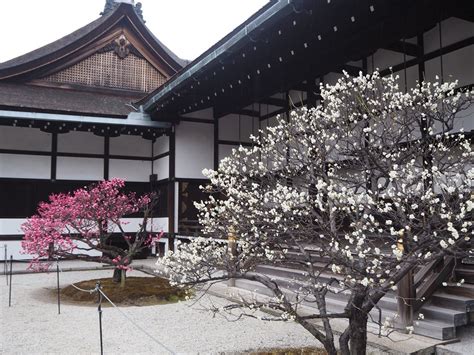 御所・下鴨 京都旅屋 ～気象予報士の観光ガイド・京都散策～