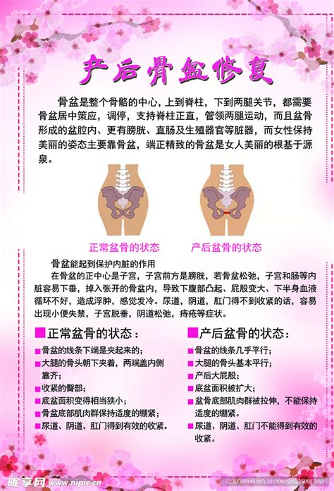骨盆修复设计图 广告设计 广告设计 设计图库 昵图网