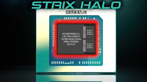 AMD's next-gen Zen 5-based 'Strix Halo' FP11 package is as big as Intel ...