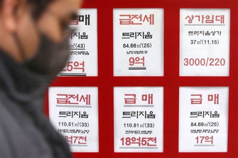 대구 아파트 중위전세가 3년5개월 만에 2억선 붕괴1년 새 224↓ 파이낸셜뉴스