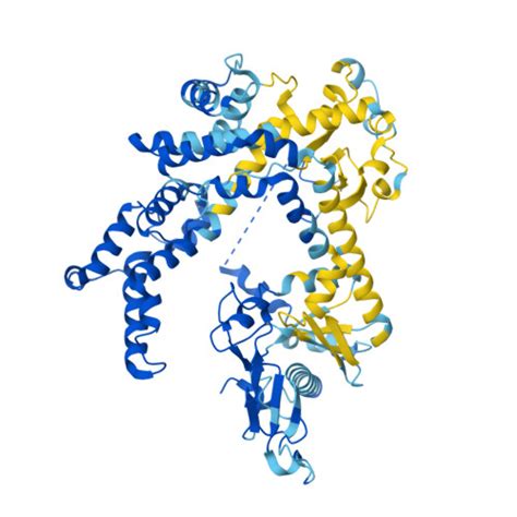 Rcsb Pdb 9ceu Spizellomyces Punctatus Fanzor Spufz State 1