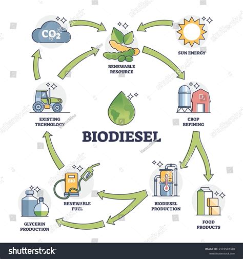 Biodiesel Production
