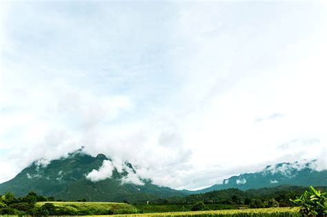 자연도 루앙 Chiang Dao의 클라우드 커버 보기 0명에 대한 스톡 사진 및 기타 이미지 0명 5월 계곡 Istock