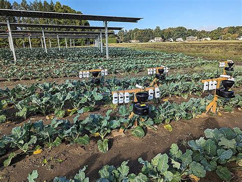 新しい分析ツールは、農家が「農業」について情報に基づいた選択をするのに役立ちます