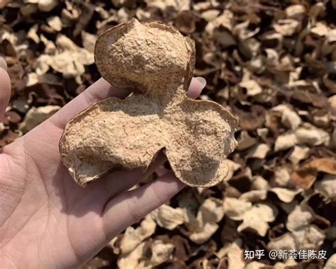 教你这一招轻松识破新会陈皮做旧小伎俩 新荟佳陈皮 知乎
