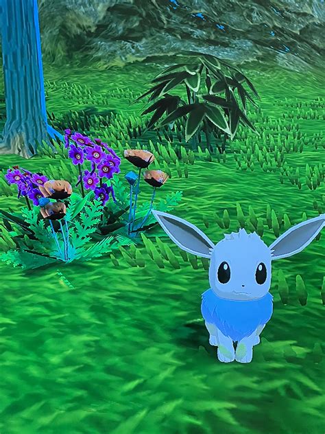 [8] Random Shiny Eevee R Shinypokemon