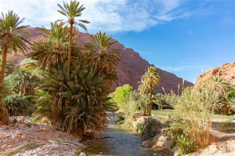 Travel To Todra Gorge Morocco 2025 The Best Choice