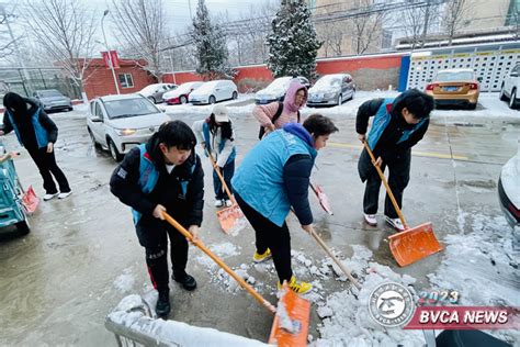 青年志愿者协会组织学生参与校园积雪清扫活动 农职新闻网