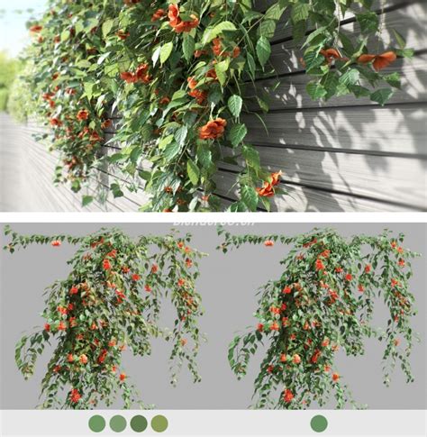 Blender资产 437款大自然植物藤蔓爬山虎花朵3d模型资产 Creeper Scapes Blender布的