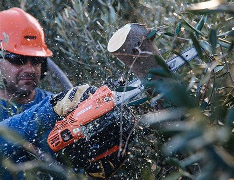 Echo CS TES Chainsaw Godfreys Of Sevenoaks