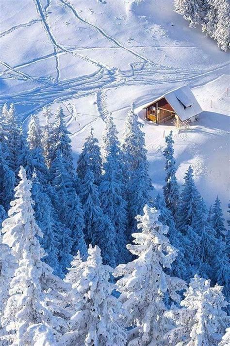 Iarna In Padure Poezii Pentru Sufletul Meu