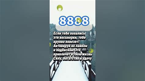 Знаки зодиака в постели и их активность гороскоп Astrology астрология знакизодиака Youtube