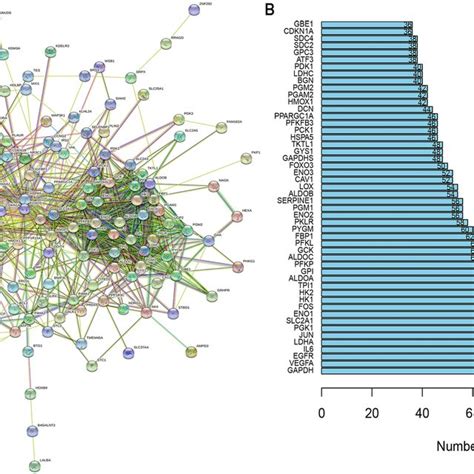 Screening Hypoxia Genes A The Protein Interaction Network Diagram Of