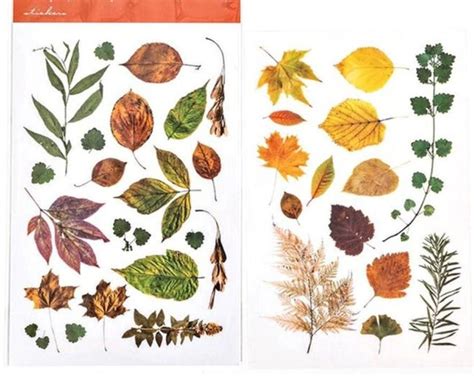 Autumn Leaf Rub On Sticker Fall Leaves Transfer Sticker Junk Journal Scrapbook Print On