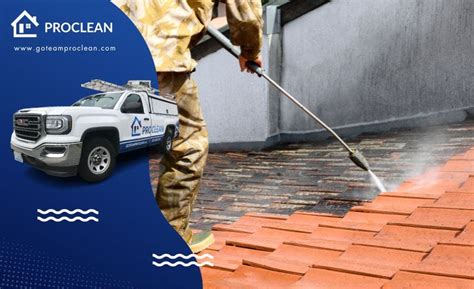 How Regular Roof Cleaning Can Prevent Costly Repairs In The Future