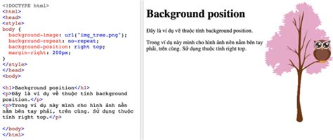 Hướng Dẫn Sử Dụng Câu Lệnh Css để đặt Background Image X Y Position Css