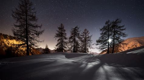 Winter Trees Snow Hd Nature 4k Wallpapers Images Backgrounds