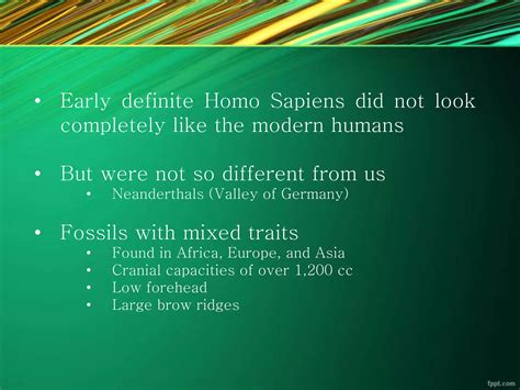 The Culture Of Early Hominids Pptx