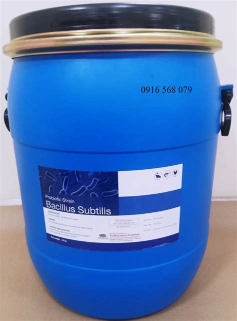 Men Vi Sinh Baccilus Subtilis