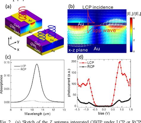 Figure 1 From Modeling The Anisotropic Detection Material In A Quantum