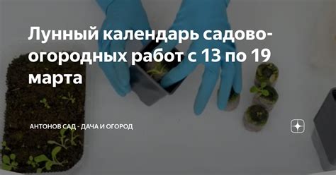 Лунный календарь садово огородных работ с 13 по 19 марта Антонов сад