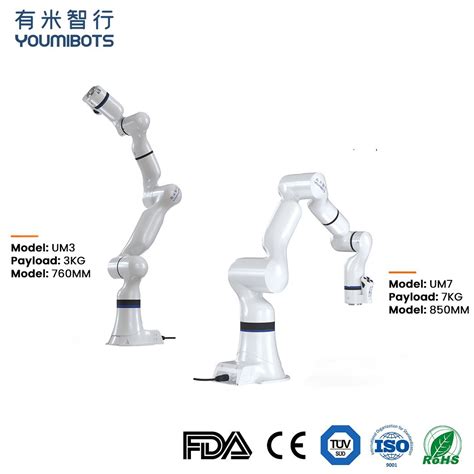 Youmibots Fully Automatic Six Axis Stable Gripper Robot Arm China 2022