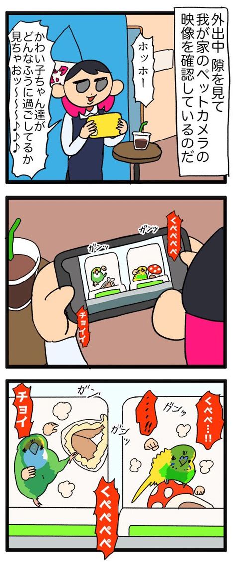 えるぽﾋﾟ⚠️似顔絵お渡し9月中旬頃まで On Twitter たまたまペットカメラを覗いたらゴルとカチョが同じタイミングでめちゃくちゃ