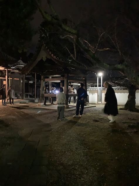 令和6年 ぴぴの毎日